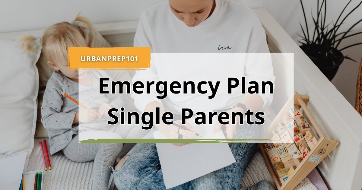 Powerful Emergency Plan for Single Parents: 12 Life-Saving Steps to ...